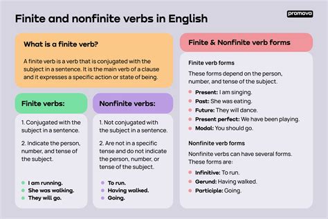 Finite And Nonfinite Verbs Promova Grammar Verb English Verbs Main Verbs