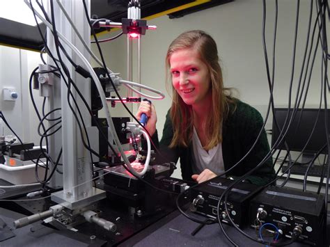 Protein Actively Bundles Dna Strings Delta