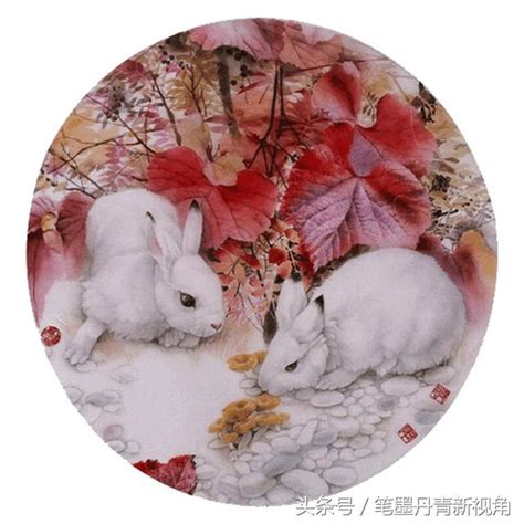 紀淑文工筆花鳥畫作品20幅 每日頭條