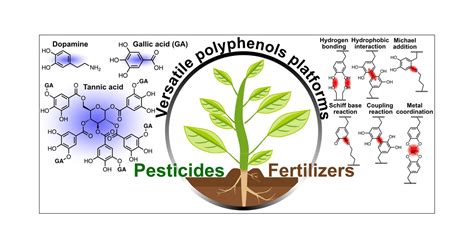 Recent Development Of Versatile Polyphenol Platforms In Fertilizers And