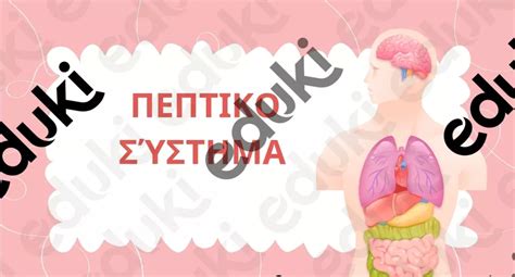 ΠΕΠΤΙΚΟ ΣΥΣΤΗΜΑ ΕΡΩΤΗΣΕΙΣ ΠΑΝΕΛΛΗΝΙΩΝ Εκπαιδευτικό υλικό για το μάθημα