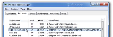 wgc renderer exe windows process what is it