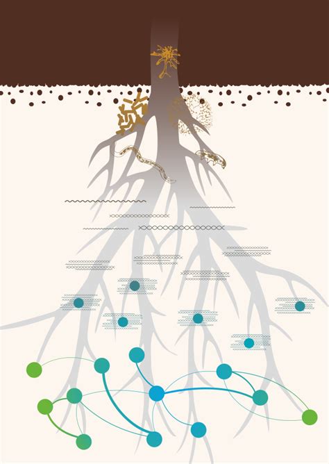 Phd Thesis Chapter Pages How To Pick The Right Design Schlaugemacht