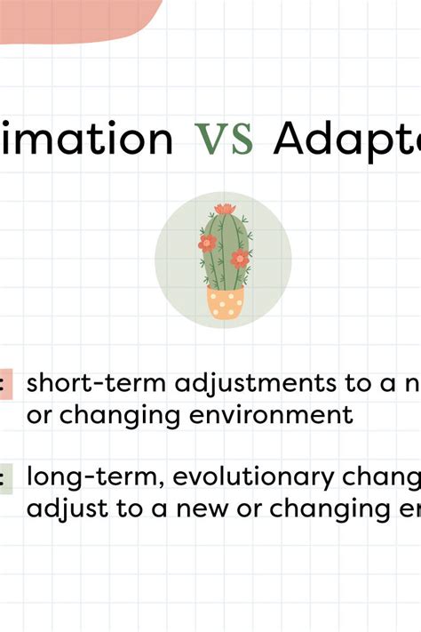 Difference Between Acclimation And Adaptation Differences Explained Yourdictionary