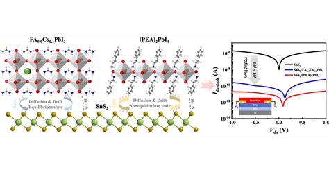 Lead Based Perovskites Significantly Suppress Dark Currents Toward High