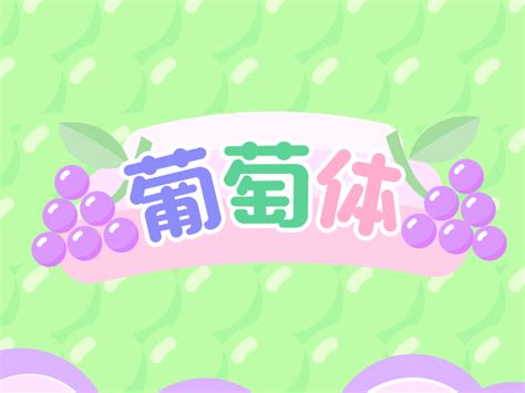 葡萄体 郑庆科 站酷ZCOOL