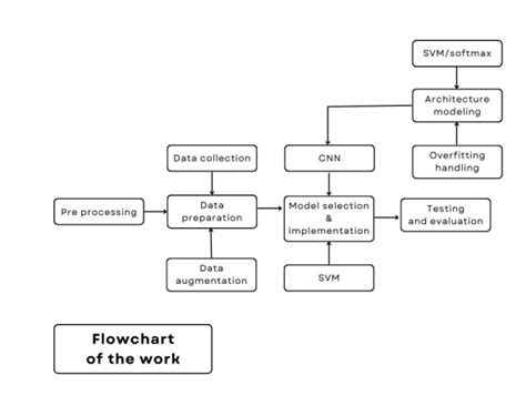 GitHub ChiaraGiaca CNN And SVM For Reciclability