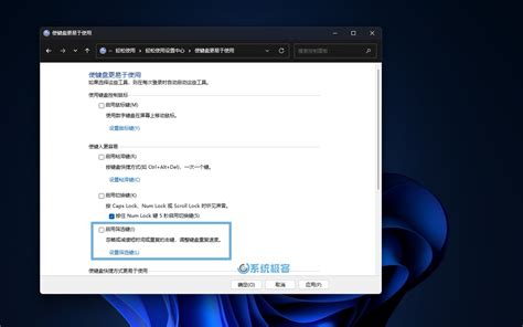 Windows 筛选键使用指南：启用、禁用、自定义参数 系统极客