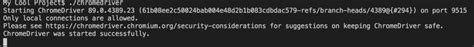 Setup Selenium With Java On Visual Studio Code Funnel Garden
