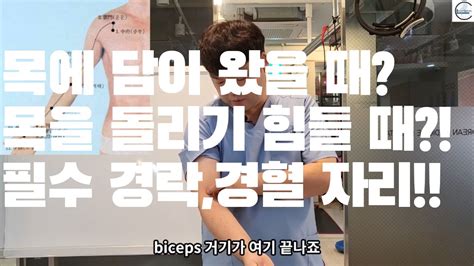 목에 담이 왔을 때 목이 잘 안 돌아 갈때 필수 혈자리 Youtube