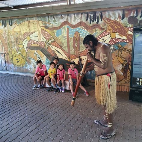 2023최신후기케언즈 4일 올인원 공항픽업쿠란다 투어그레이트배리어리프공항샌딩 줌줌투어 호주 케언즈