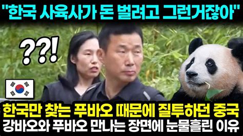 한국 사육사가 돈 벌려고 그런거잖아 한국만 찾는 푸바오 때문에 질투하던 중국 할부지와 푸바오 만나는 장면에 눈물 흘린 이유 L 해외반응 한류 Youtube