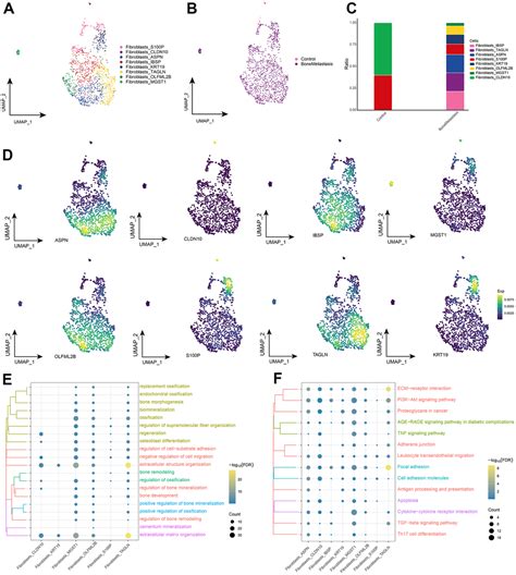 Single Cell Sequencing Analysis Reveals The Relationship Between Tumor Microenvironment Cells