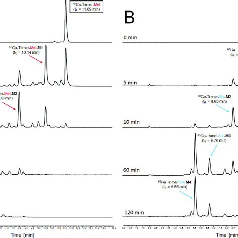 Structure Of Hpmcas 7 Download Scientific Diagram