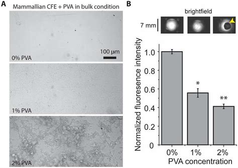 Pva Surfactant Caused The Formation Of Aggregate And Reduced Cfe Download Scientific Diagram