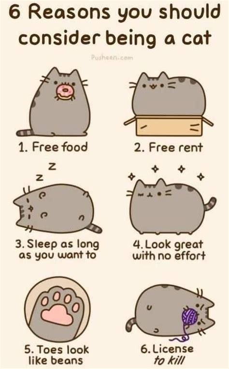 Pin By Joette Bennett On Pusheen Cat Cat Quotes Funny Cute Cat