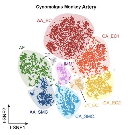 ScRNA Seq