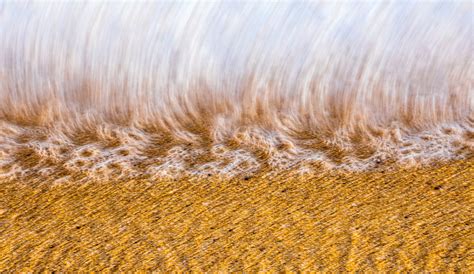 Tiny Bubbles Hale Fine Art