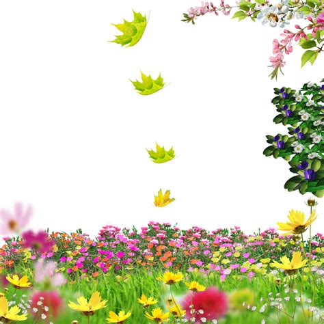 Jardim De Flores Png Flor Jardim Flores Imagem Png E Psd Para