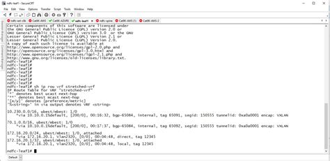 Hybrid Cloud Connectivity Deployment For Cisco NX OS Stretched VRF Use Case Cisco Nexus
