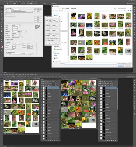 Solved Contact Sheet Without Layer Mask Adobe Product Community