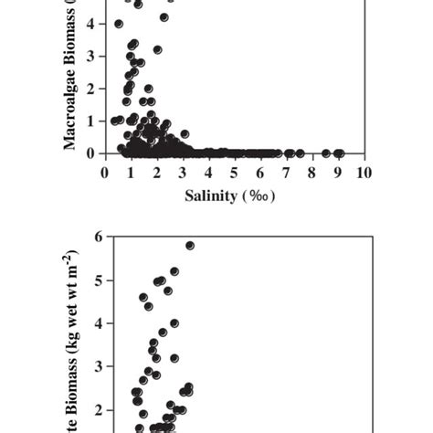 Relations Between Macroalgae Biomass Macrophyte Biomass And Salinity