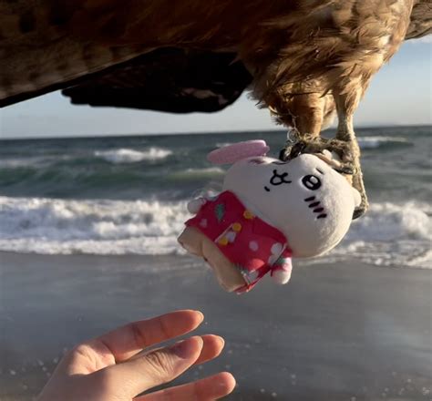 투디갤 ㅆㄷ 이거 진짜 봐도봐도 존나 신기함