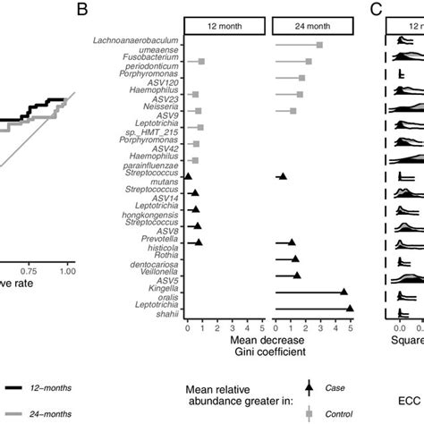 Taxa Wide Supervised 5 Repeat 10 Fold Random Forest Classification Download Scientific Diagram