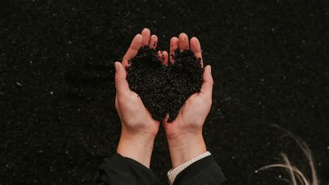 How Does Global Warming Affect Vegetation Ecology Today