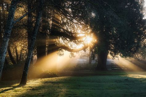 Sunrise Daybreak Sunlight Free Image Download