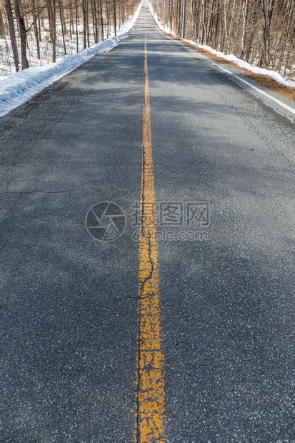 空荡荡的冬季道路和森林高清图片下载 正版图片503079450 摄图网