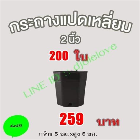 กระถางพลาสติก กระถางแคคตัส กระถางต้นไม้ราคาถูก By วิศิษฐ์ แคคตัสโอโซน กระถางพลาสติก กระถาง