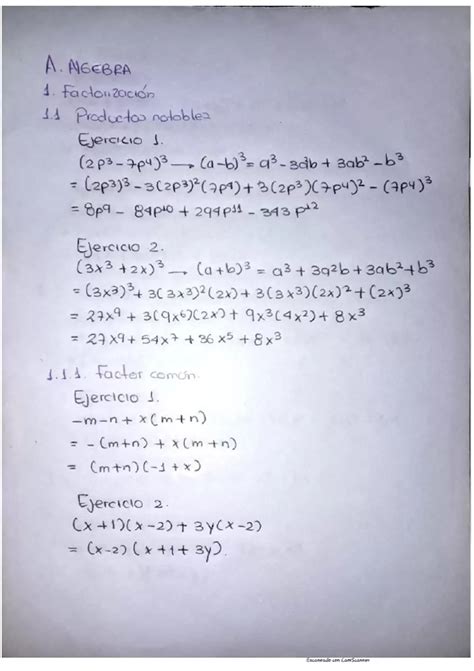 Ejercicios Resueltos De FactorizaciÓn Ejercicios Stuvia Us