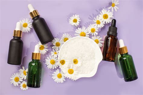카모마일 꽃이있는 파스텔 보라색 보라색 배경에 물방울이있는 어두운 유리 화장품 병 피부관리를 위한 천연 보습 화장품의 개념