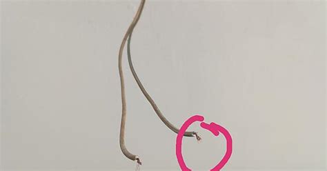 Faulty Wire Album On Imgur