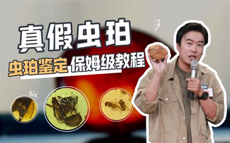 陈睿真假虫珀鉴定保姆级教程看完就能成为半个专家啦 哔哩哔哩