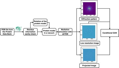 Frontiers Diffragan A Conditional Generative Adversarial Network For Phasing Single Molecule