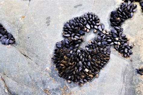 Yolov8 Practice Object Detection Model By Project Nfnm9