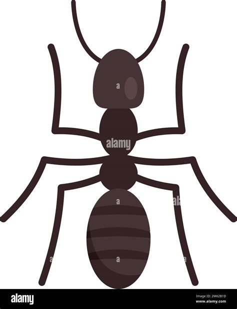 Soldier Ant Icon Flat Illustration Of Soldier Ant Vector Icon For Web