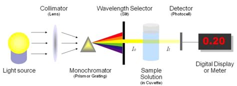 Spectrophotometry