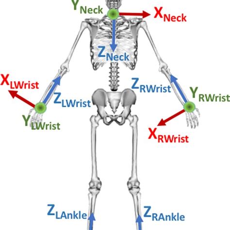 Diagram Illustrating The Locations Of Virtual Imu Reference Frames X