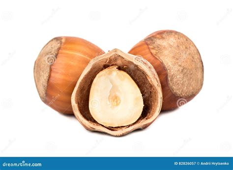 Hazelnuts In Shell And Half Stock Image Image Of Hazel Diet 82826057