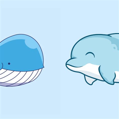 Happywhale Resized Dataset Kaggle