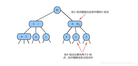 数据结构中常见的各种树原理详解（学习笔记）树操作的基本原理 Csdn博客