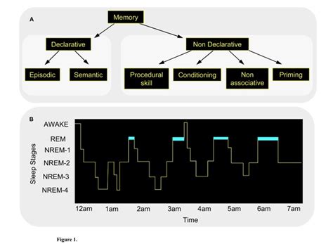 Extinction Or Reconsolidation Differences Between Suppression And Transformation In How We