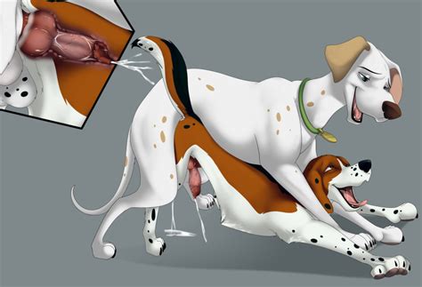 Rule 34 2024 Absurd Res Anal Anal Sex Animal Genitalia Animal Penis