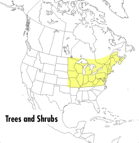 A Peterson Field Guide To Trees And Shrubs Northeastern And North Central United States And