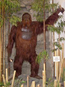 Gigantopithecus Facts Habitat Diet Fossils Pictures
