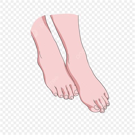여자 일러스트 발 여자 발 피트 작은 발 Png 일러스트 및 Psd 이미지 무료 다운로드 Pngtree