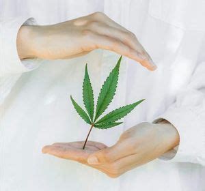 How To Roll A Joint A Step By Step Guide